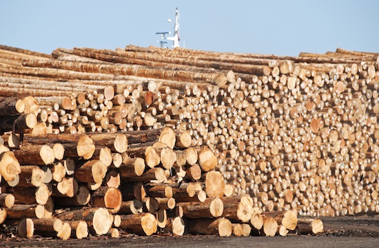 Douglas Fir | Products | Lampert Lumber